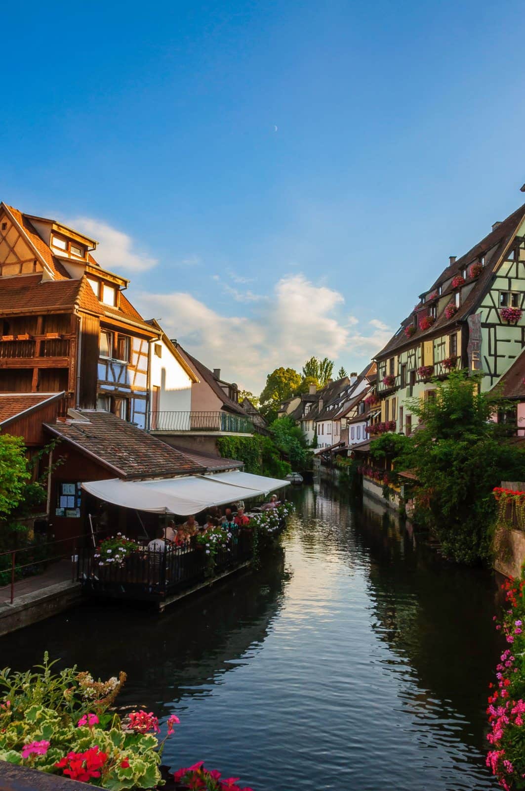 colmar-1 — 大脚印